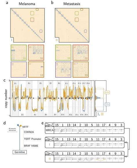 Hidensec Analysis Of Patient 2 A B Show The Hi C Maps From The