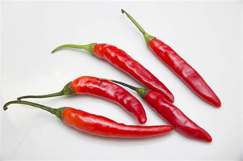신선한 빨간 고추 유토이미지 상세페이지 베이직샵 사진 20299953