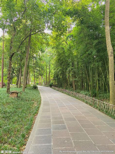 林间小路摄影图 国内旅游 旅游摄影 摄影图库 昵图网