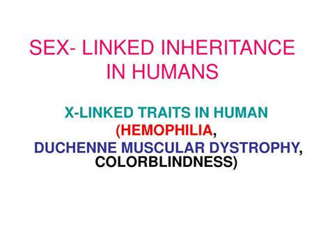 PPT SEX LINKED INHERITANCE PowerPoint Presentation Free Download ID 4858416