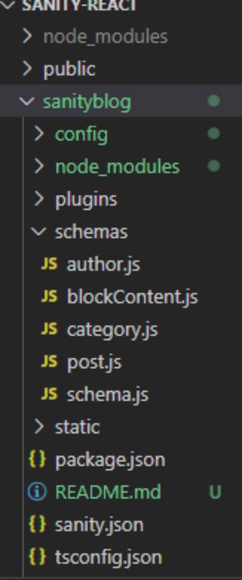 Reactjs Unable To Add Code Blocks In Sanity Cms After I Install The