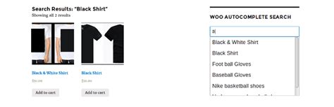 Wordpress Autocomplete Plugins Can Speed Up User Experience