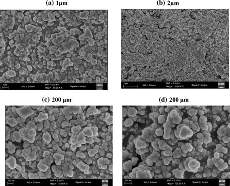 FE SEM Images Of Fe3O4 TiO2 Nanoparticles Download Scientific Diagram