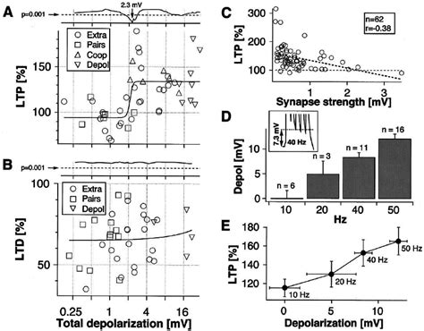 Ltp Not Ltd Depends On Depolarization A All Experiments At ϩ 10 Ms Download Scientific