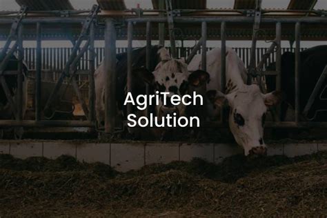 How Agritech Transforms The Agriculture Industry By Agiliway Medium