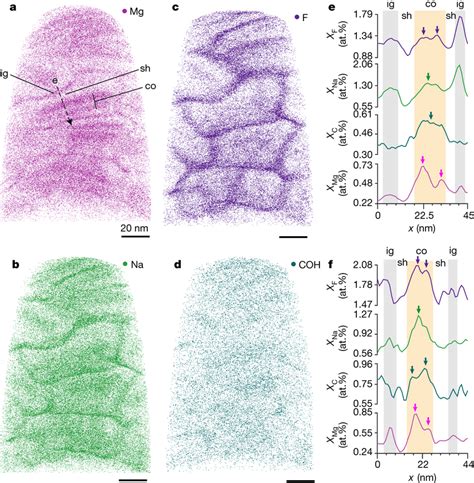 Chemical Gradients In Human Enamel Crystallites And The Amorphous