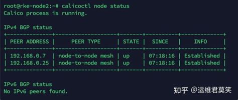 Kubernetes 网络插件 Calico 完全运维指南 知乎