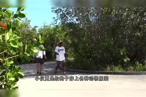 小伙恶搞路人，把假豹子放到大街上，吓得男子甩开女朋友就跑！