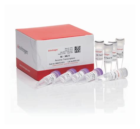 Invitrogen™ M Mlv Reverse Transcriptase 200 Uμl Fisher Scientific