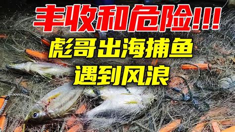 彪哥出海捕鱼突然的风浪过来，要加快速度拉网，还好大鱼还是挺多条的【南澳岛记录员彪哥】 Youtube