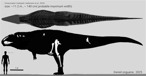 Tameryraptor Markgrafi Gdi By Dinosauredusud On Deviantart