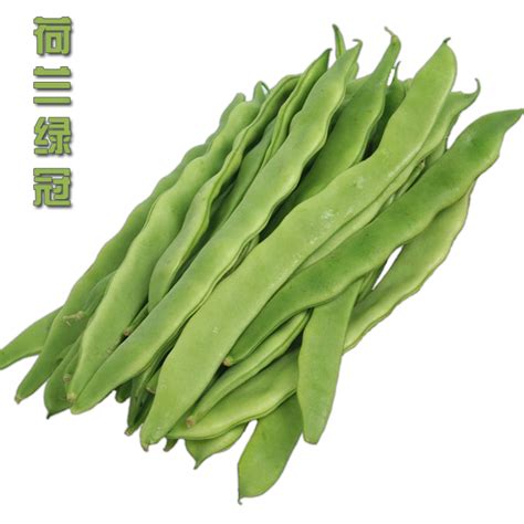 四季豆角图片 土豆焖豆角 土豆炖豆角 大山谷图库