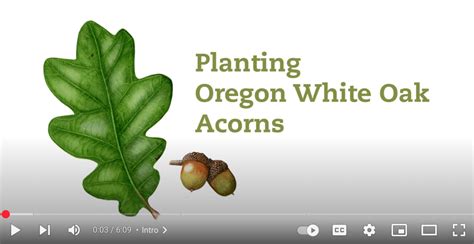 Resources Archive Pacific Northwest Oak Alliance