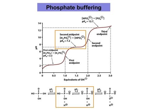 Acid Base Equilibria Ph And Buffers