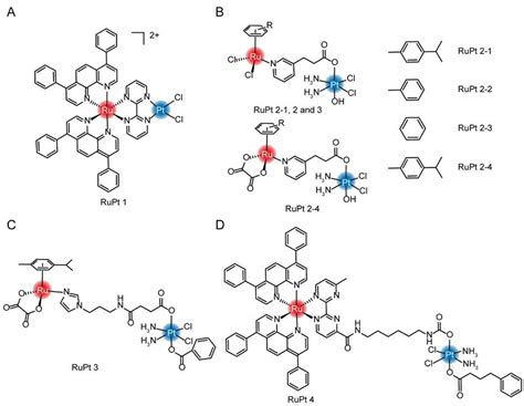The Structure Of Rupt Complexes A Rupt 1 B Rupt 2 1 2 3 And 4