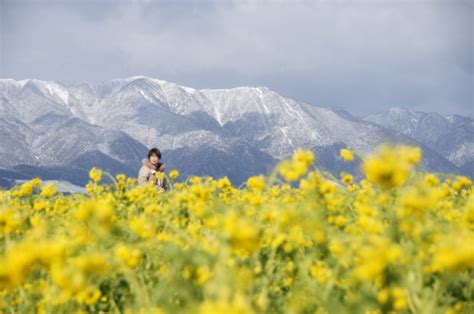 春と冬 by まさ ID927609 写真共有サイト PHOTOHITO