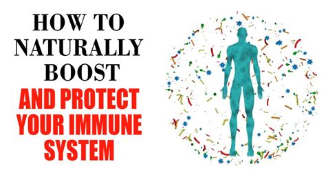 How To Naturally Boost Your Immune System
