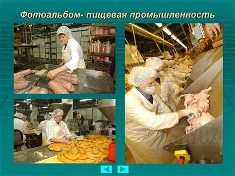 Легкая и пищевая промышленность России урок географии 9 класс презентация онлайн