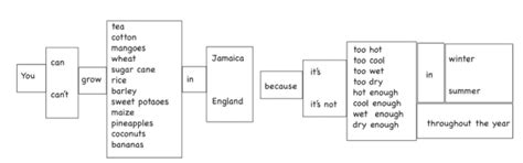 What Is A Substitution Table And How Can They Be Used To Support Eal