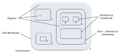 the basic structure of the cell like p systems download scientific diagram