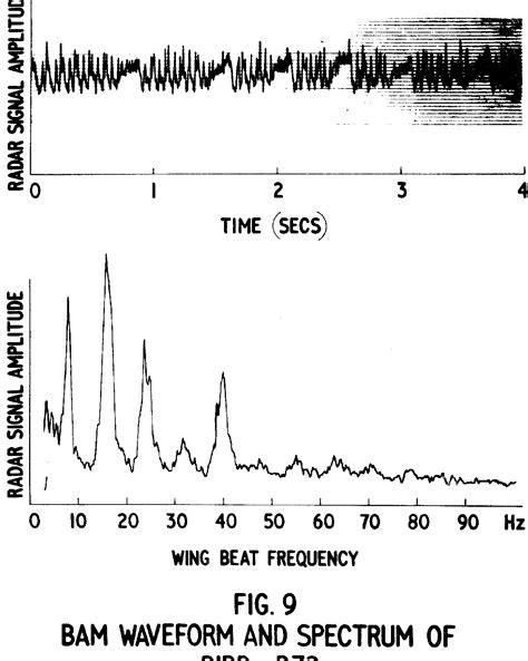 Figure 9 From Use Of Bird Activity Modulation Waveforms In Radar Identification Semantic Scholar