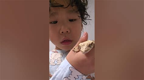 민재에 도마뱀 이야기도마뱀 Youtube