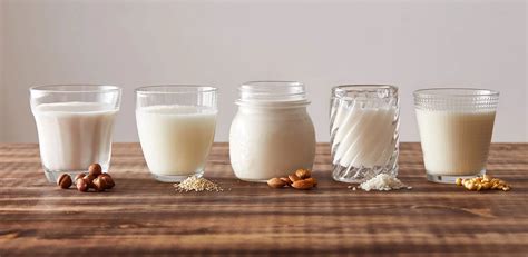 What Is Non Dairy Milk Guide And Alternatives For Every Taste Byamj