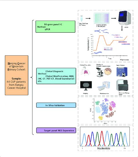 An Overview Of Research Design That Verification Of 90 Gene Download Scientific Diagram