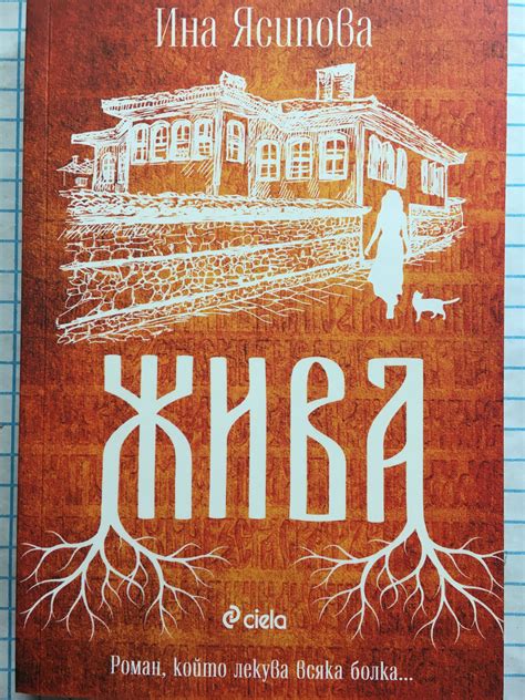 Жива Роман който лекува всяка болка Ортограф антикварна книжарница