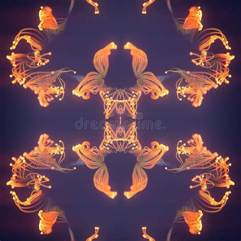 Abstract Symmetrical Organic Pattern Colorful Lines With A Trendy