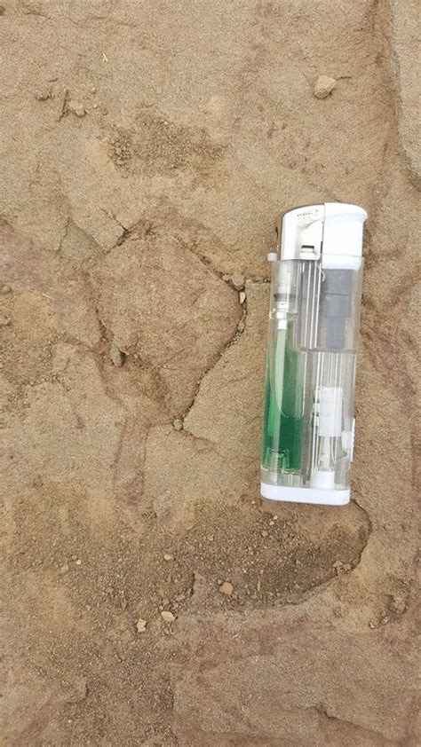 172 Questions With Answers In GRASS GIS Science Topic