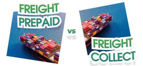 Freightprepaid Freightcollect Shipping Logistics Businessstrategy Supplychain Ahmed El