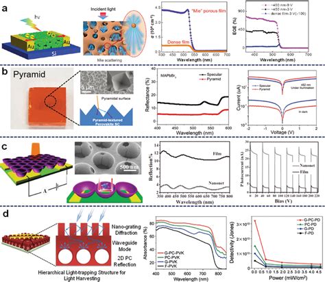 Perovskite Pds With Versatile Micro‐nano Structures A 3d Schematic Of