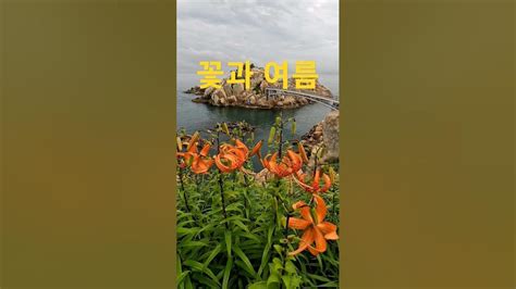 꽃과 여름달콤한 향기와 뜨거운 태양 Youtube