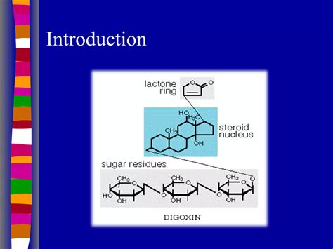 Clinical Pharmacokinetics Of Digoxin Ppt