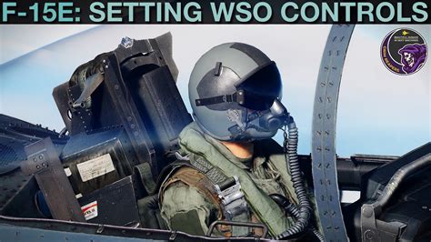 F 15e Strike Eagle Setting And Using Hotas Controls Rear Seat Wso