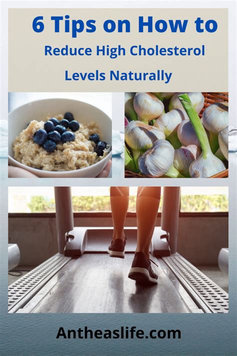 6 Tips On How To Reduce High Cholesterol Levels Naturally