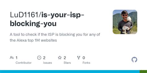 GitHub LuD1161 Is Your Isp Blocking You A Tool To Check If The ISP Is Blocking You For Any Of