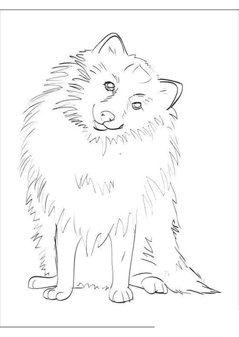 Раскраски орнаменты и узоры Раскраска без регистарции орнаменты и узоры Распечатать