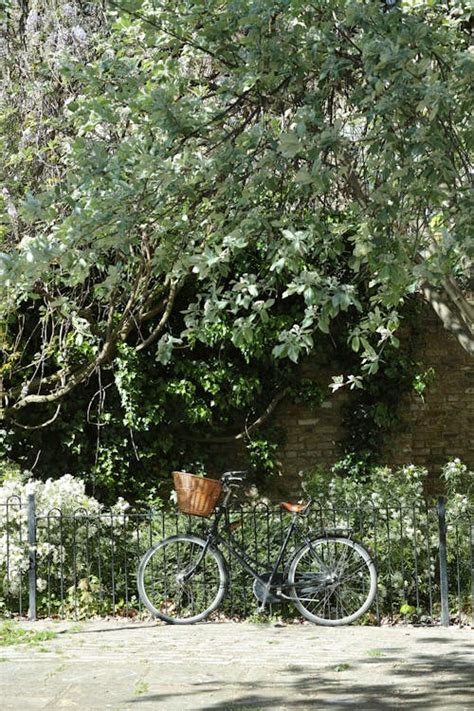 기댄 나무 수직 쐈어 오토바이 울타리 의료 시설 자전거에 관한 무료 스톡 사진