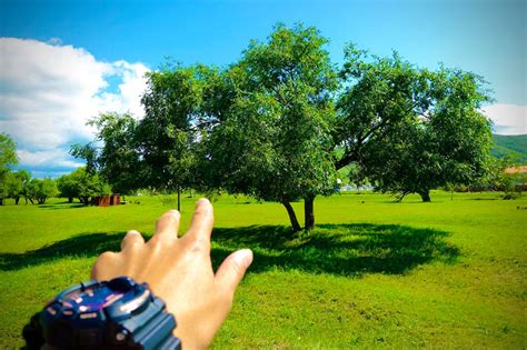 The Mongolian Couple Маш олон мод байсан ч хамгийн анхаарал татсан мод энэ байсан Ямар ч