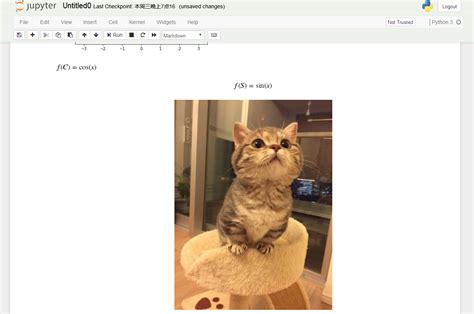 使用Jupyter Notebook编写技术文档 noticeable 博客园