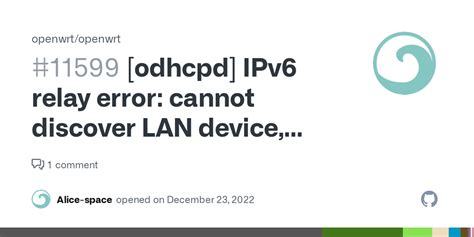 Odhcpd Ipv6 Relay Error Cannot Discover Lan Device Bad File Descriptor Sending To Wanpppoe