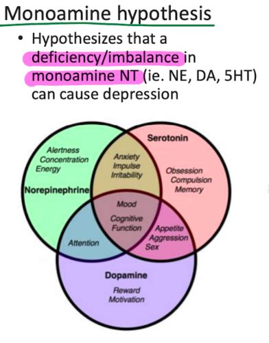 Antidepressants Flashcards Quizlet Antidepressants Flashcards Quizlet