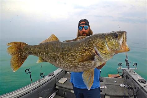 Walleye Record Lake Erie