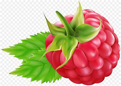 Png Png