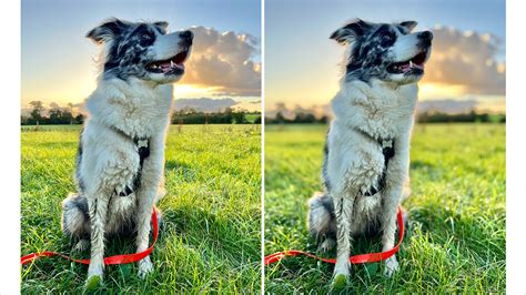 IPhone Photography Basics How To Compose Better Images IMore