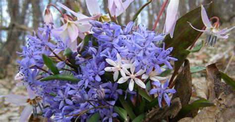 Честит Рожден ден Lg Btv Новините