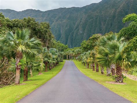 Hoomaluhia Botanical Garden Hawaii Travel Guide