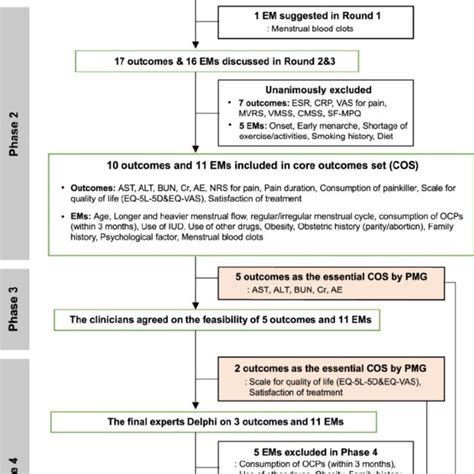 Overview Of The Development Of The Korean Medicine Core Outcome Set For